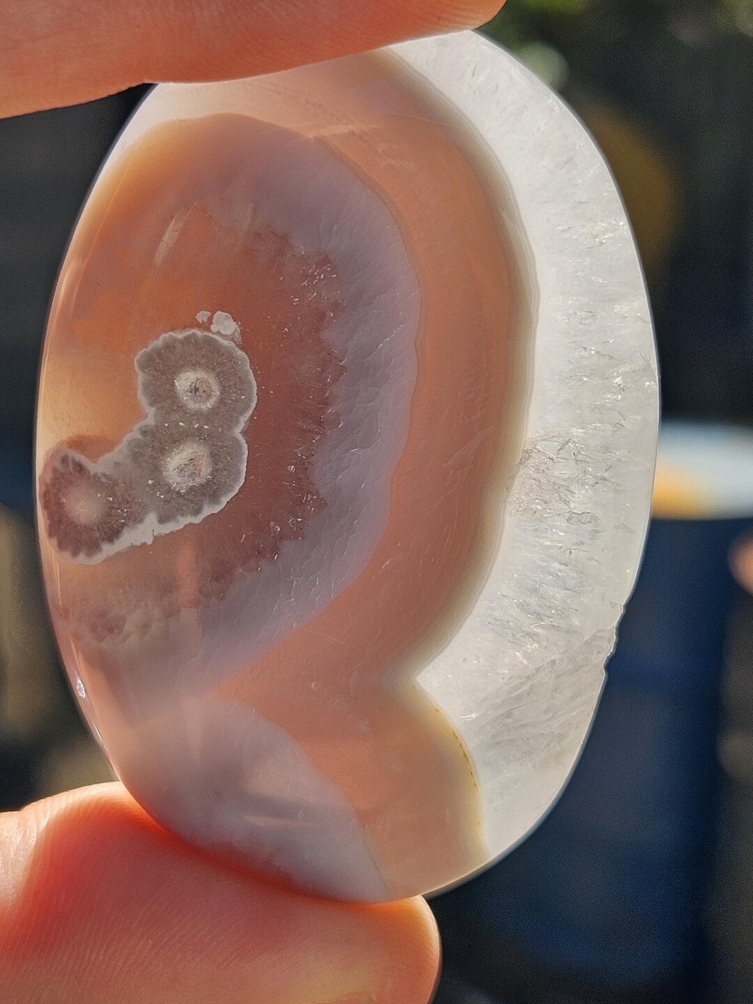 Lavender Flower Agate Palm Stone - Rare - Etsy