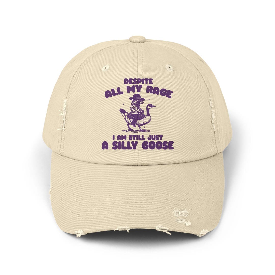 Silly Goose Hat, Tiktok Meme Hat, Funny Hats, Offensive Hats, Meme Hats ...