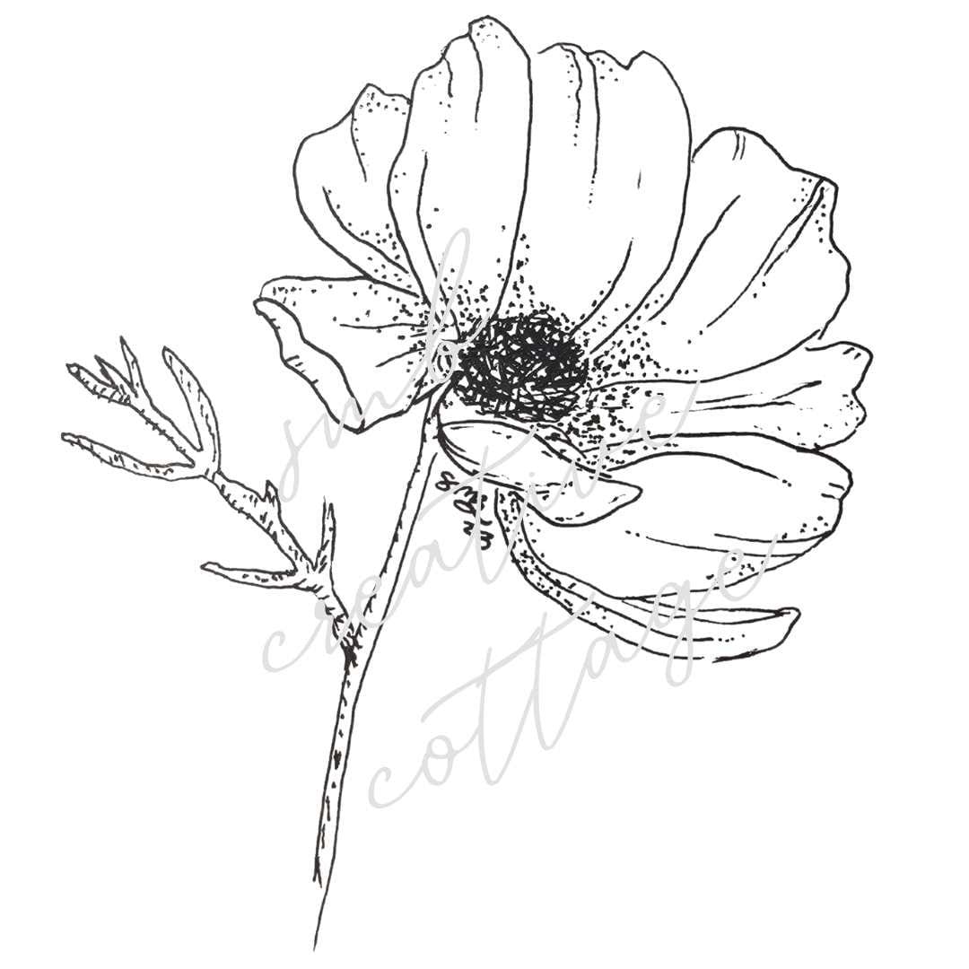 Poppy Notecard Digital Print - Etsy