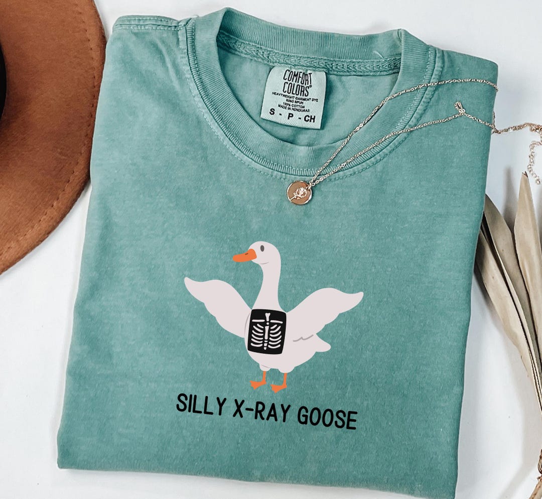 Silly Xray Goose Shirt, X-ray Tech Tshirt, Radiology Comfort Colors® T ...