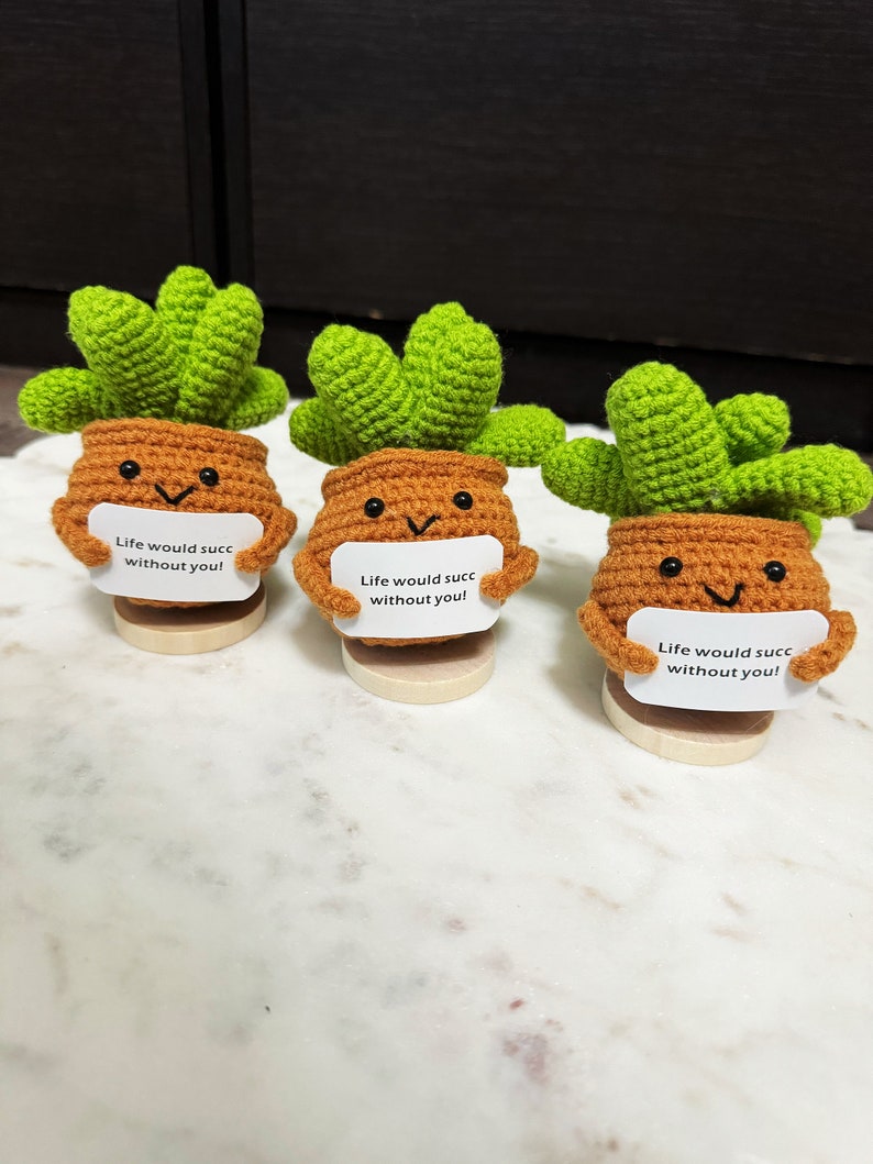 Emotional Positive Support Cactus Succulent Plants Crochet, Pick Me up ...