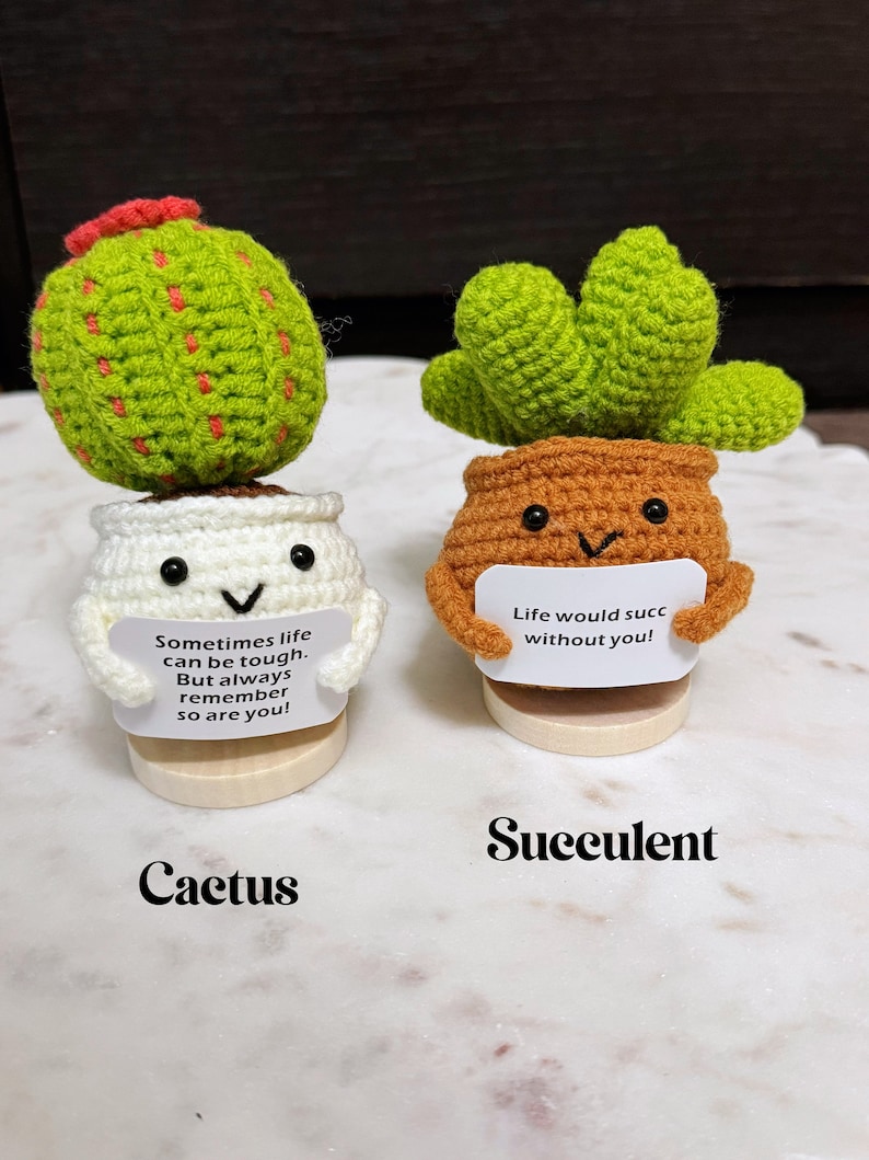 Emotional Positive Support Cactus Succulent Plants Crochet, Pick Me up ...