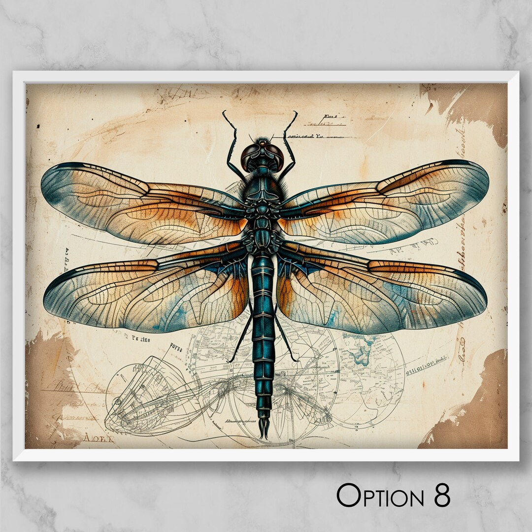 Framed Art Deco Vintage-style Delicate Insects Prints Set of Bugs Art ...