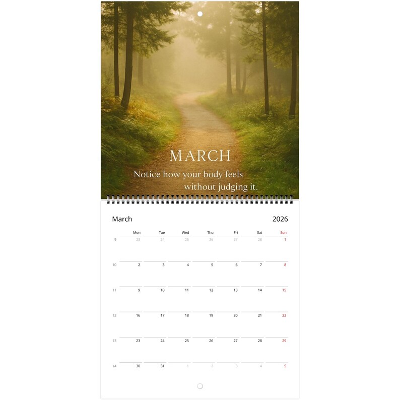 2026 Health and Wellness Calendar - Etsy