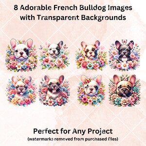 Spring Frenchies Clipart Bundle Set of 8 Clipart Files Cute French ...