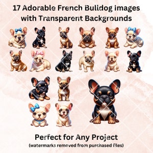 Frenchie Clipart Bundle Set of 17 Clipart Files, Cute French Bulldog ...
