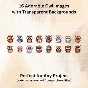 Cute Owl Clipart Set of 16 Clipart PNG Files Kawaii Owls Graphics ...