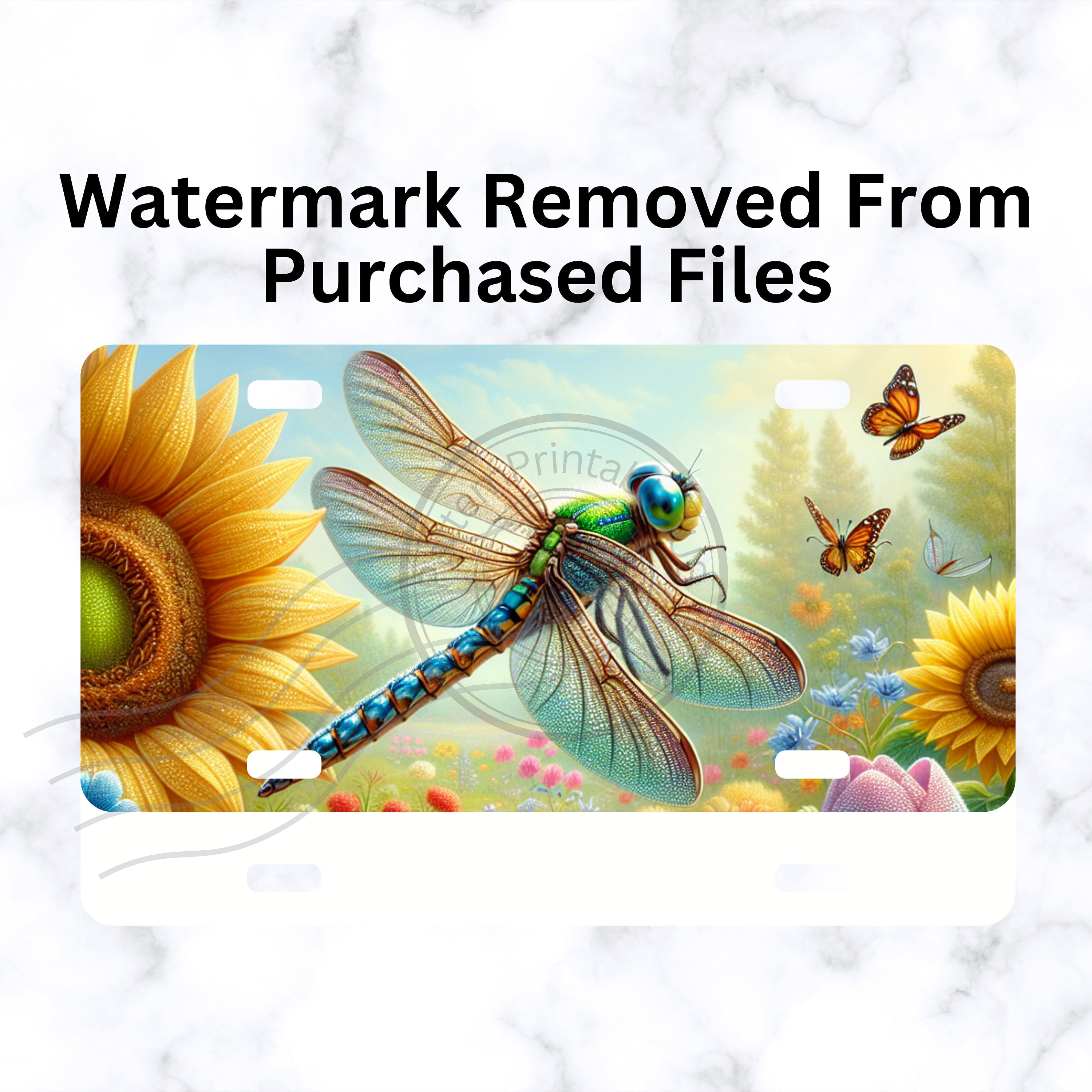 Dragonfly License Plate Sublimation Design Instant Download PNG 300dpi ...