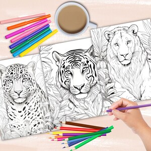 Big Cats Coloring Book, Jungle Cats Coloring Pages, Safari Animals ...
