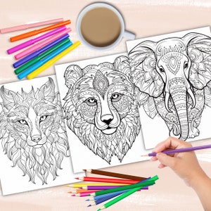 Wildlife Mandala Coloring Book, Zentangle Animal Coloring Pages, Zoo ...