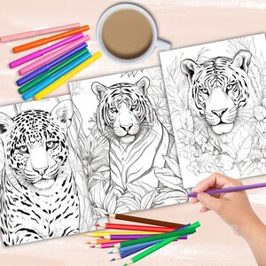 Big Cats Coloring Book, Jungle Cats Coloring Pages, Safari Animals ...