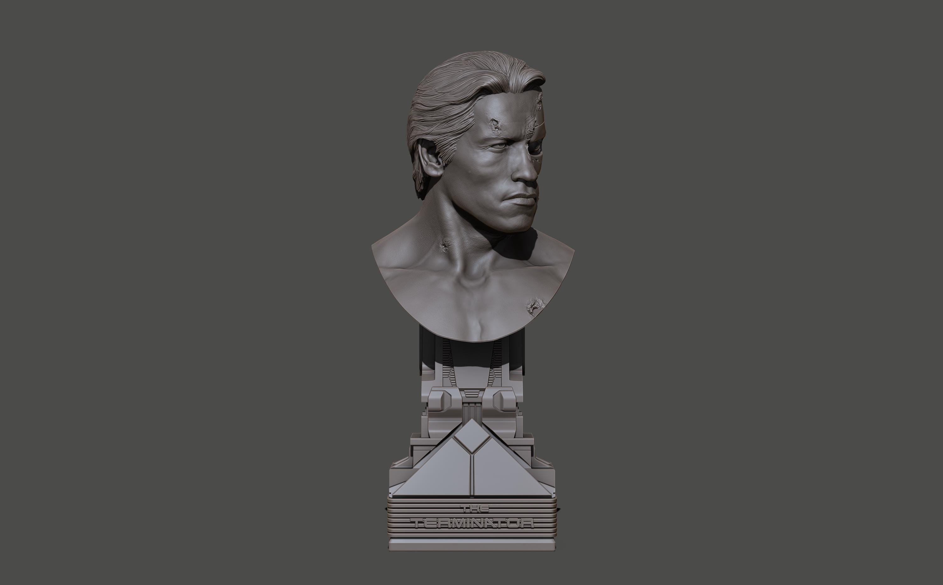 Arnold Schwarzenegger Terminator Bust 3d Print File - Etsy