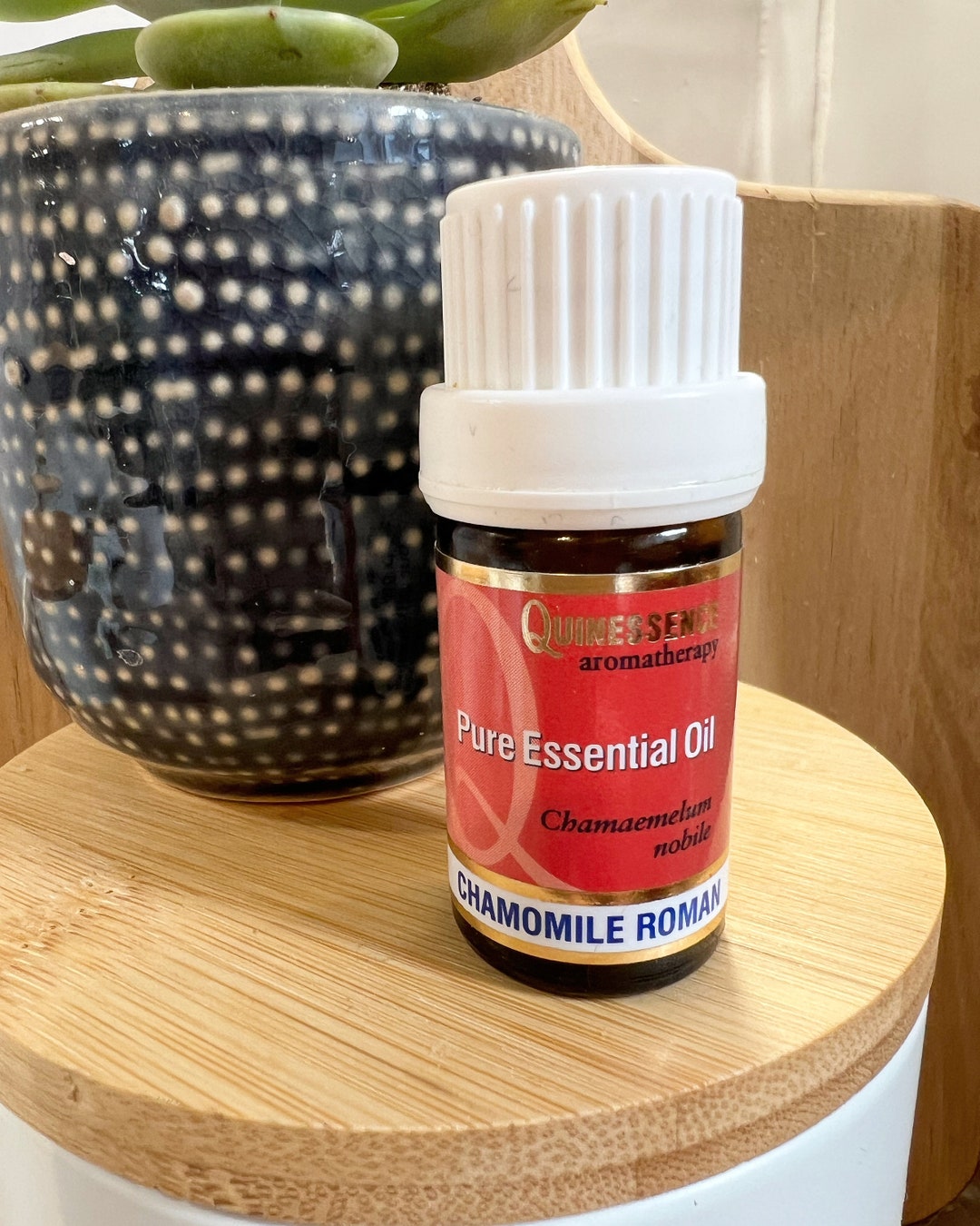 Roman Chamomile Essential Oil 5ml - Etsy