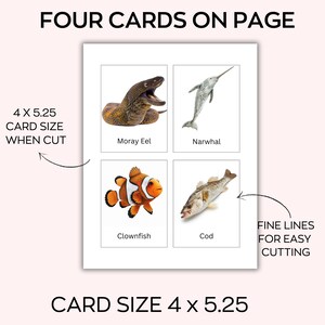 32 Ocean ANIMALS Flash Cards, Montessori Cards Printable, Nomenclature ...