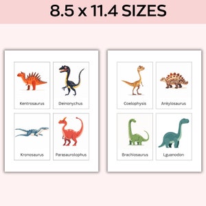 16 Dinosaur Flash Cards, Montessori Cards Printable, Nomenclature Cards ...