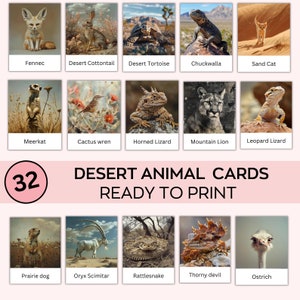 32 Desert Animal Flash Cards, Montessori Cards Printable, Nomenclature ...