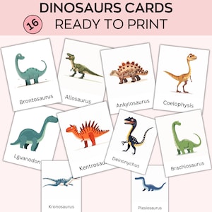 16 Dinosaur Flash Cards, Montessori Cards Printable, Nomenclature Cards ...