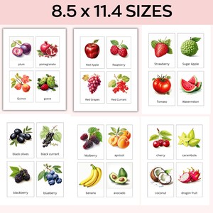 Printables Fruits Flashcards, 30 Montessori Cards, Nomenclature Flash ...