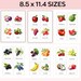 Printables Fruits Flashcards, 30 Montessori Cards, Nomenclature Flash ...