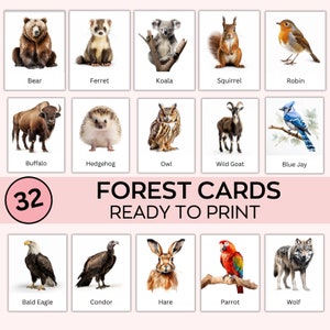 40 Forest ANIMALS Flash Cards, Montessori Cards Printable, Nomenclature ...
