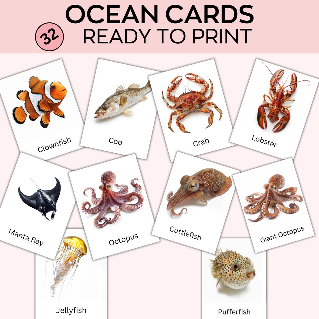 32 Ocean ANIMALS Flash Cards, Montessori Cards Printable, Nomenclature ...