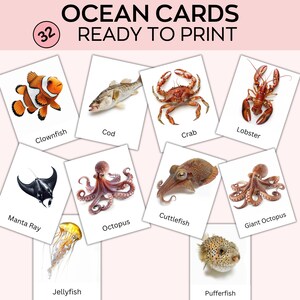 32 Ocean ANIMALS Flash Cards, Montessori Cards Printable, Nomenclature ...