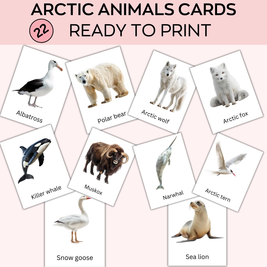 22 Arctic ANIMALS Flash Cards, Montessori Cards Printable, Nomenclature ...