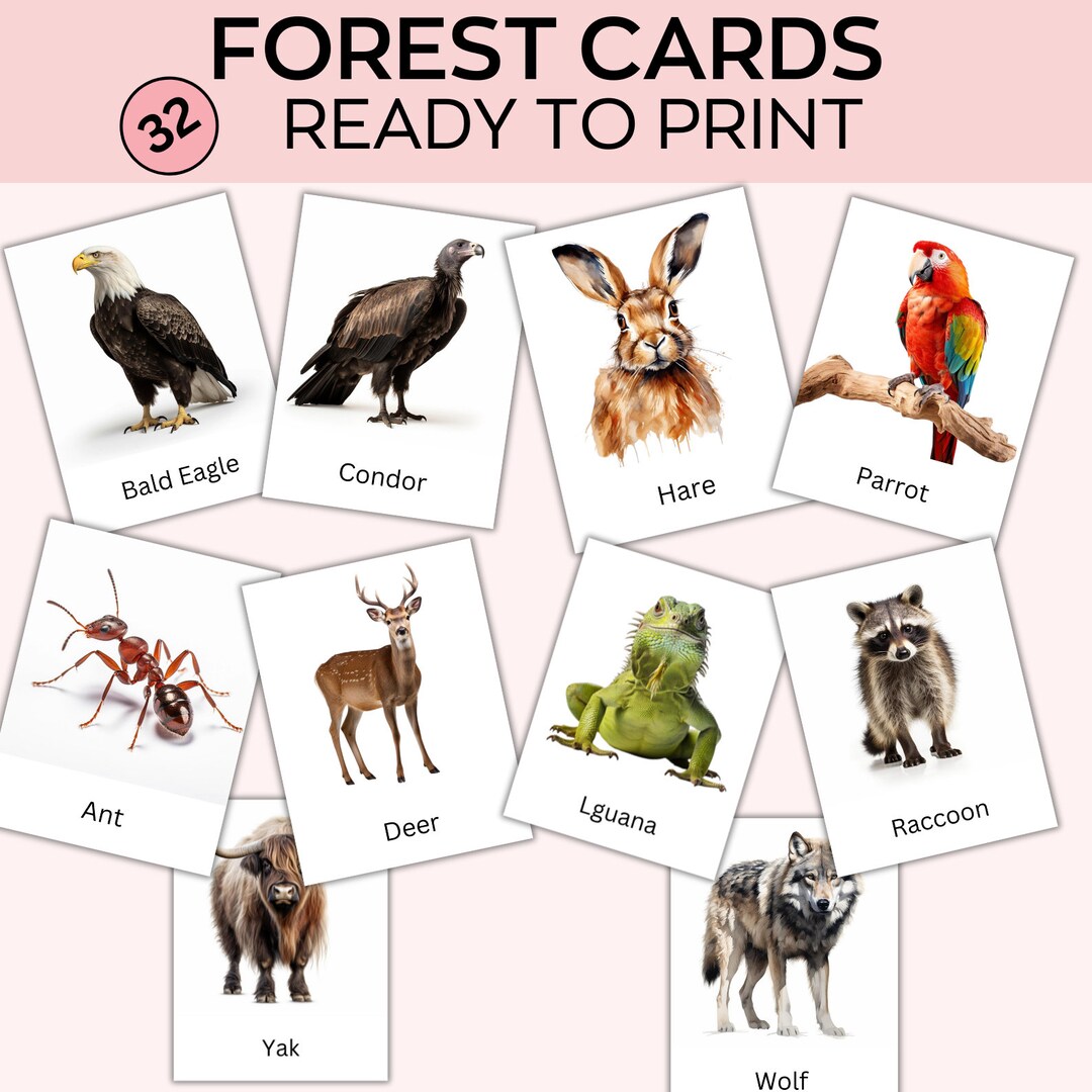 40 Forest ANIMALS Flash Cards, Montessori Cards Printable, Nomenclature ...