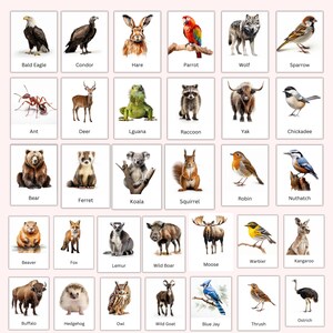 40 Forest ANIMALS Flash Cards, Montessori Cards Printable, Nomenclature ...