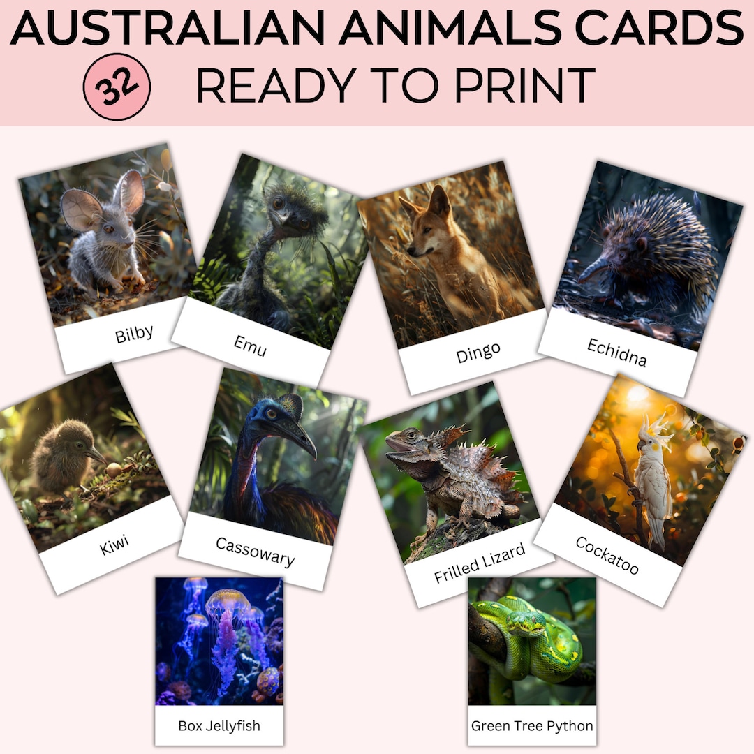 32 Australian ANIMALS Flash Cards, Montessori Cards Printable ...