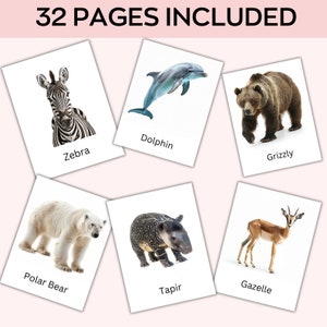 32 Forest ANIMALS Flash Cards, Montessori Cards Printable, Nomenclature ...
