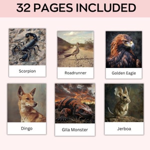 32 Desert Animal Flash Cards, Montessori Cards Printable, Nomenclature ...