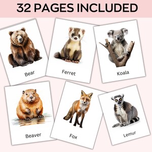 40 Forest ANIMALS Flash Cards, Montessori Cards Printable, Nomenclature ...