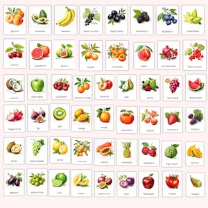 Printables Fruits Flashcards, 30 Montessori Cards, Nomenclature Flash ...