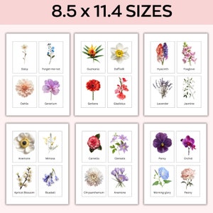 40 Flowers Flash Cards, Montessori Cards Printable, Nomenclature Cards ...