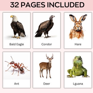 40 Forest ANIMALS Flash Cards, Montessori Cards Printable, Nomenclature ...
