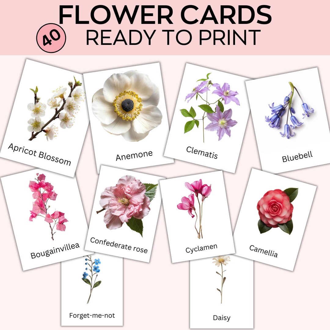 40 Flowers Flash Cards, Montessori Cards Printable, Nomenclature Cards ...