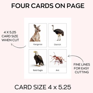 40 Forest ANIMALS Flash Cards, Montessori Cards Printable, Nomenclature ...