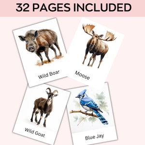 40 Forest ANIMALS Flash Cards, Montessori Cards Printable, Nomenclature ...
