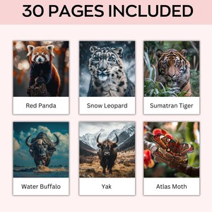 30 ASIAN ANIMALS Flash Cards, Montessori Cards Printable, Nomenclature ...