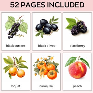 Printables Fruits Flashcards, 30 Montessori Cards, Nomenclature Flash ...