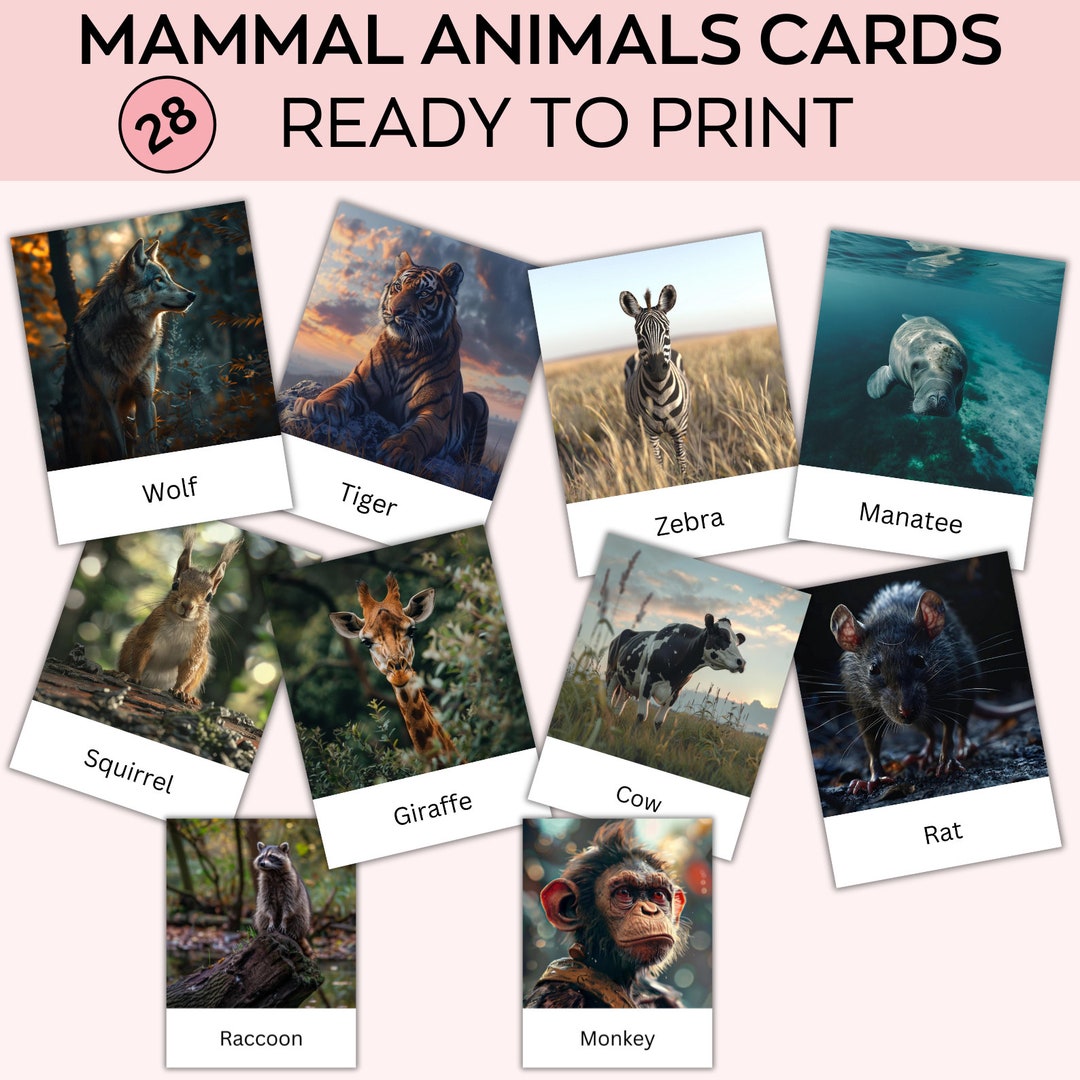 28 Mammals Animal Flash Cards, Montessori Cards Printable, Nomenclature ...