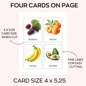 Printables Fruits Flashcards, 30 Montessori Cards, Nomenclature Flash ...