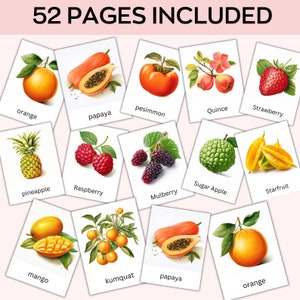 Printables Fruits Flashcards, 30 Montessori Cards, Nomenclature Flash ...