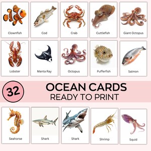 32 Ocean ANIMALS Flash Cards, Montessori Cards Printable, Nomenclature ...