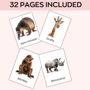 32 Forest ANIMALS Flash Cards, Montessori Cards Printable, Nomenclature ...