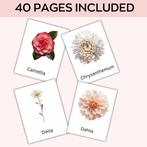 40 Flowers Flash Cards, Montessori Cards Printable, Nomenclature Cards ...