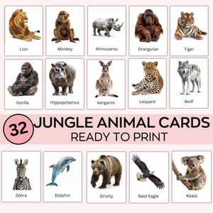 32 Forest ANIMALS Flash Cards, Montessori Cards Printable, Nomenclature ...
