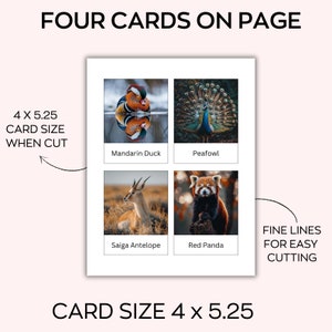 30 ASIAN ANIMALS Flash Cards, Montessori Cards Printable, Nomenclature ...