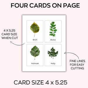 22 Leaves Flash Cards, Montessori Cards Printable, Nomenclature Cards ...